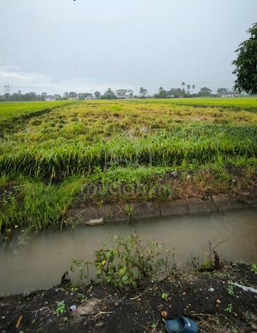 Agricultural Land for Sale, 1.17 Acre(s), Kangar, Perlis | Mudah.my