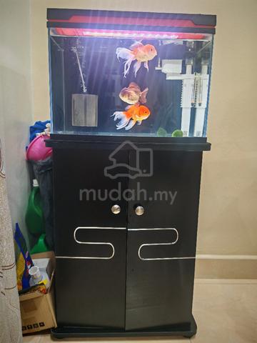 Smart Ultra-Clear Fish Tank + Premium Goldfish - Pets for sale in Butterworth, Penang