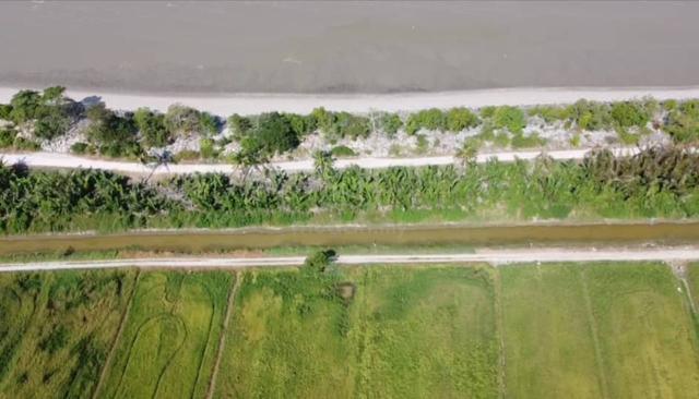 Agricultural Land for Sale, 5.56 Acre(s), Yan, Kedah 114266169 | Mudah.my