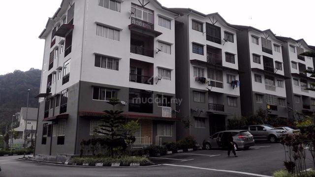 Apartment for Rent, 3 Bedroom, 813 sq.ft, Taman Royal Lily, Tanah Rata, Pahang | Mudah.my