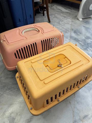 used pet carriers - Pets for sale in Kuchai Lama, Kuala Lumpur