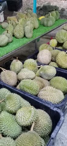 Durian Setia Triangle Penang - Food for sale in Ayer Itam, Penang