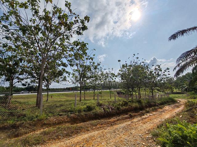 Agricultural Land for Sale, 8 Acre(s), Kulai, Johor | Mudah.my