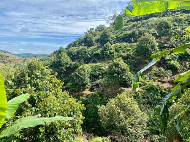 Agricultural Land for Sale, 17 Acre(s), Raub, Pahang 112057941 | Mudah.my