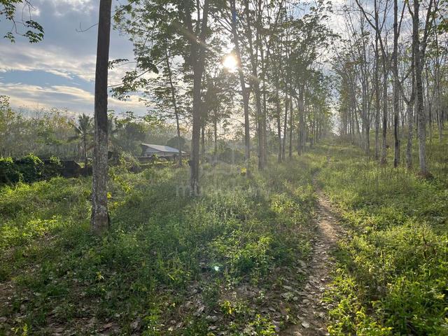 Agricultural Land for Sale, 4.35 Acre(s), Gurun, Kedah 110266226 | Mudah.my