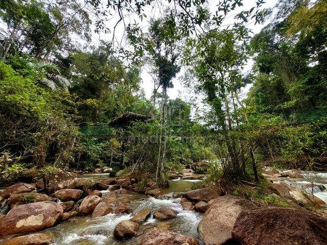 Agricultural Land for Sale, 3 Acre(s), Raub, Pahang | Mudah.my