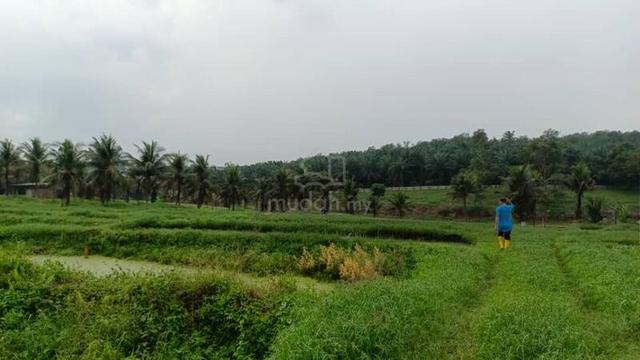 Agricultural Land for Sale, 9.72 Acre(s), Ulu Tiram, Johor | Mudah.my