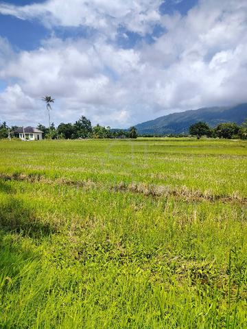 Land for Sale, 1 Acre(s), Yan, Kedah | Mudah.my